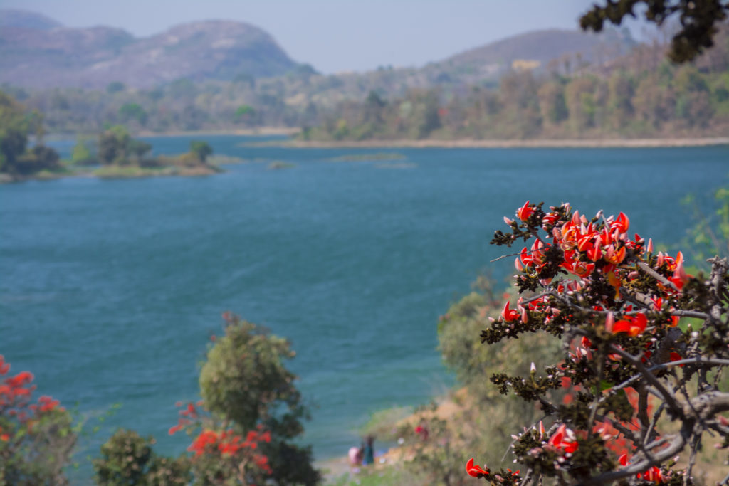Two days in the land of Palash; this is Purulia in spring