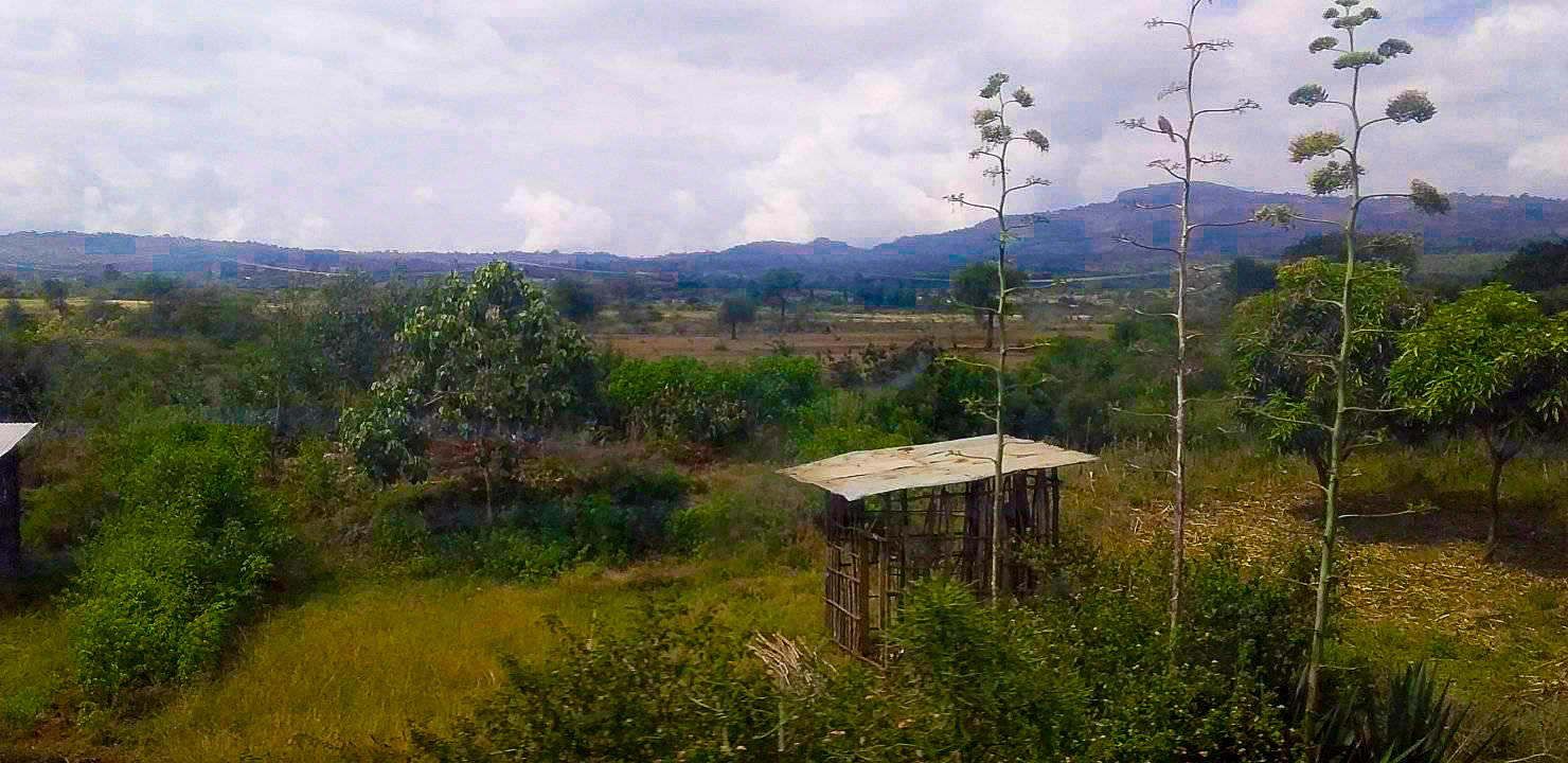 Addis Ababa to Jinka – Ethiopian Road Trip in Photos