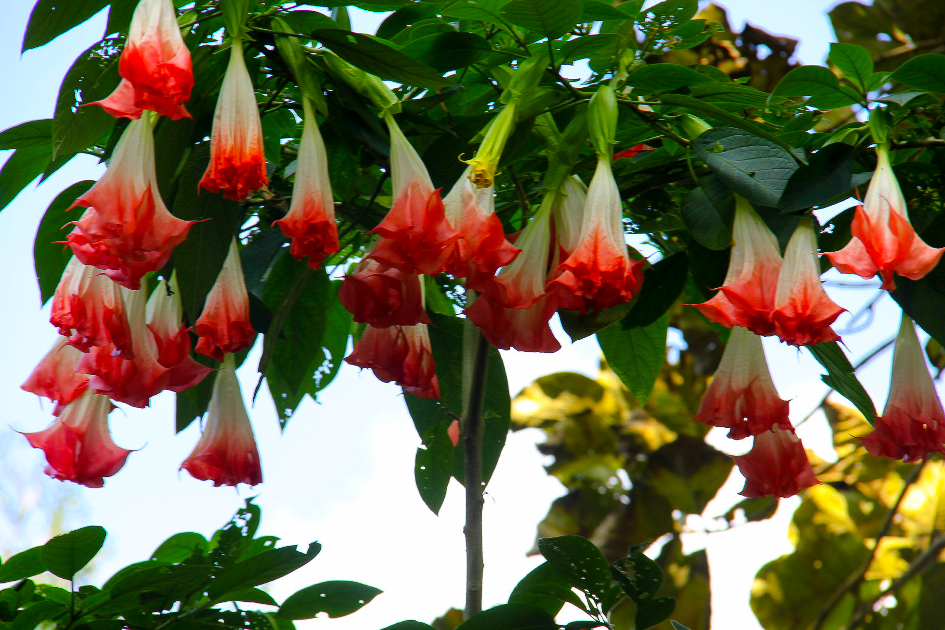 Kumily – Land of Wildlife, Spices & Tea in Kerala Highlands