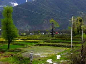 Daksum – The Hidden Jewel of Kashmir’s Untouched Valleys