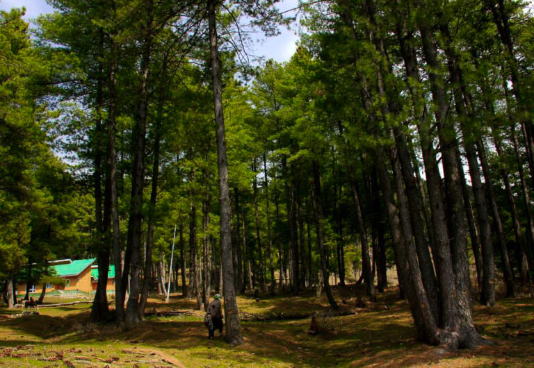 Daksum – The Hidden Jewel of Kashmir’s Untouched Valleys