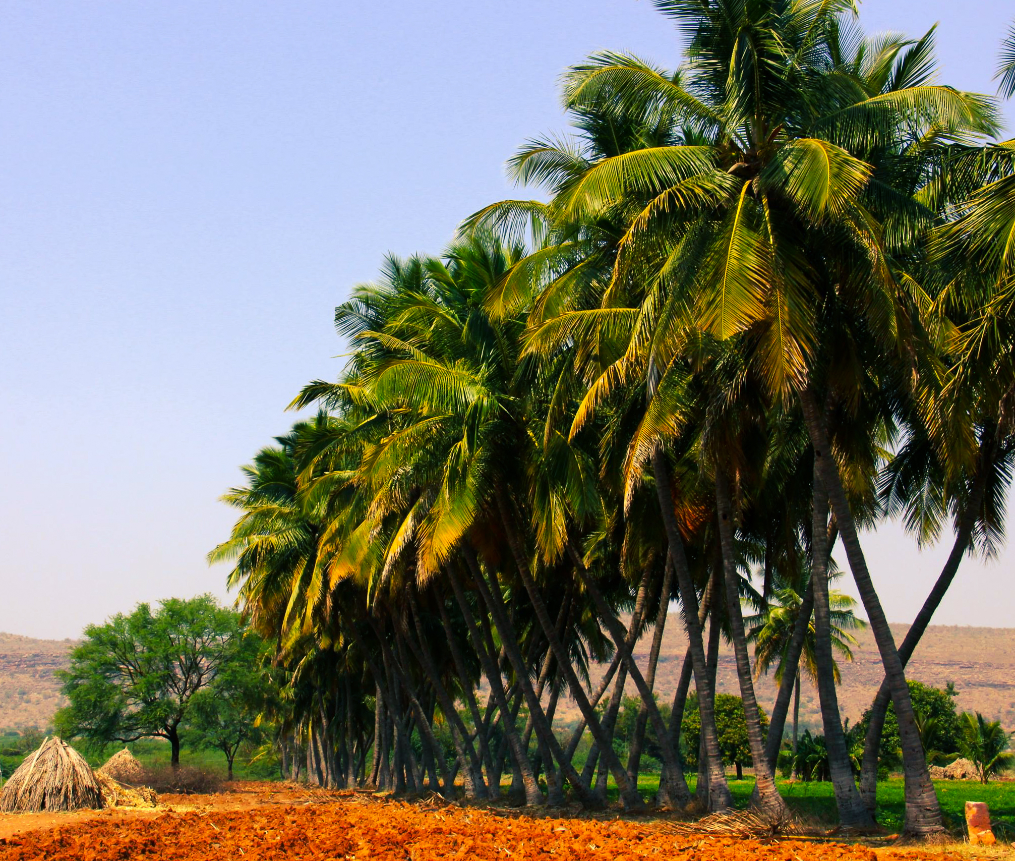 Road Trip to Badami and Beyond – Rock-Cut Wonders of Karnataka