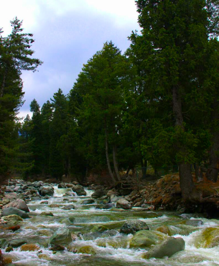 Daksum – The Hidden Jewel of Kashmir’s Untouched Valleys