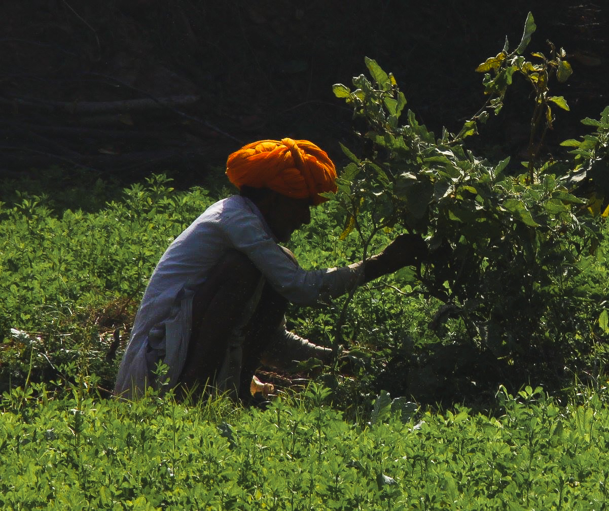 Bhil Tribe – The Bowmen of Rajasthan’s Forests