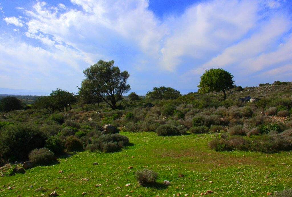 A mini Crete Travel Guide