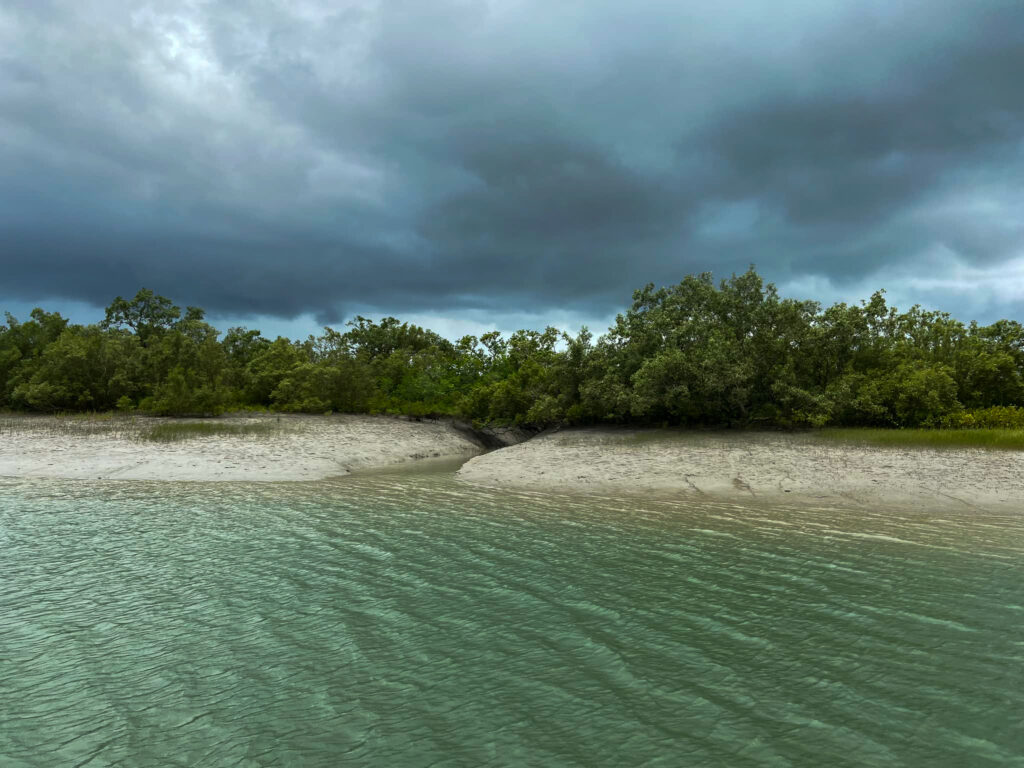 Sunderbans Travel Info: Things to Know Before You Go